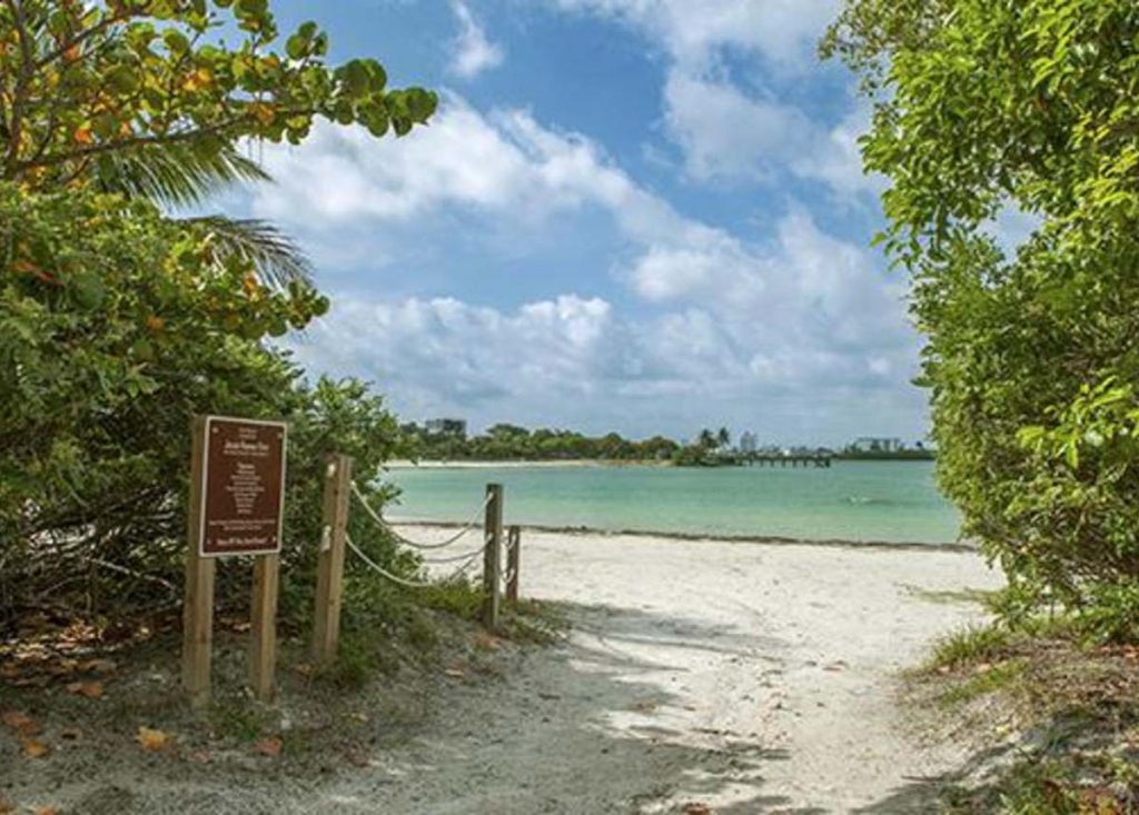 Tropical Trekking: Exploring the Natural Hiking Trails around Miami ...